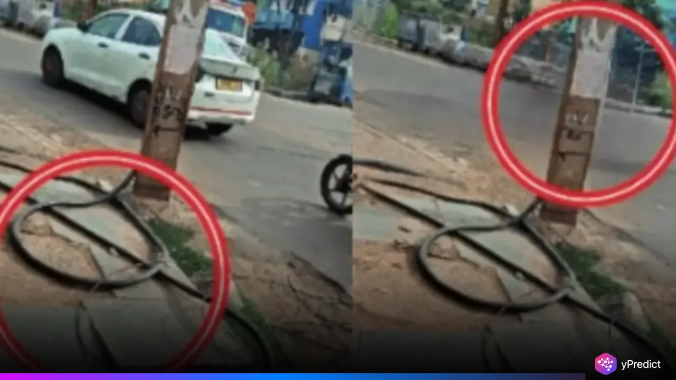 GCC Fake Photo Sparks AI Misuse Controversy in Chennai - yPredict